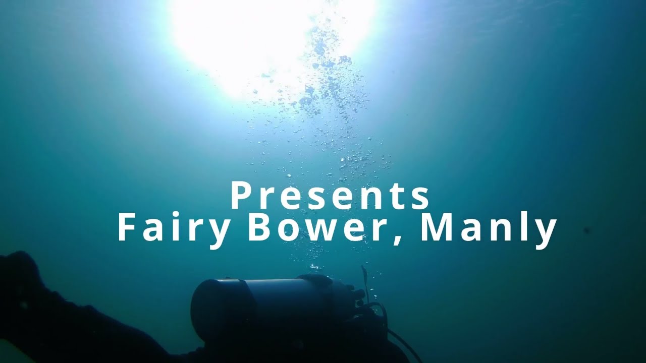 Scuba Diving Fairy Bower, Manly- Cabbage Tree Bay -April 2018 Best dive ...