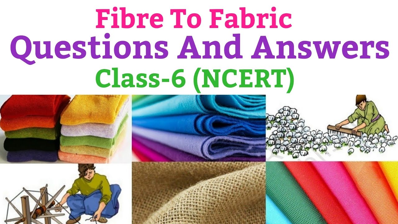 Fibre To Fabric | Questions And Answers, Science For Class 6th (NCERT ...