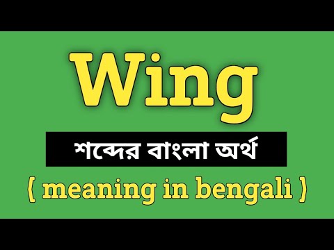 Wing Meaning in Bengali || Wing শব্দের বাংলা অর্থ কি? || Word Meaning ...
