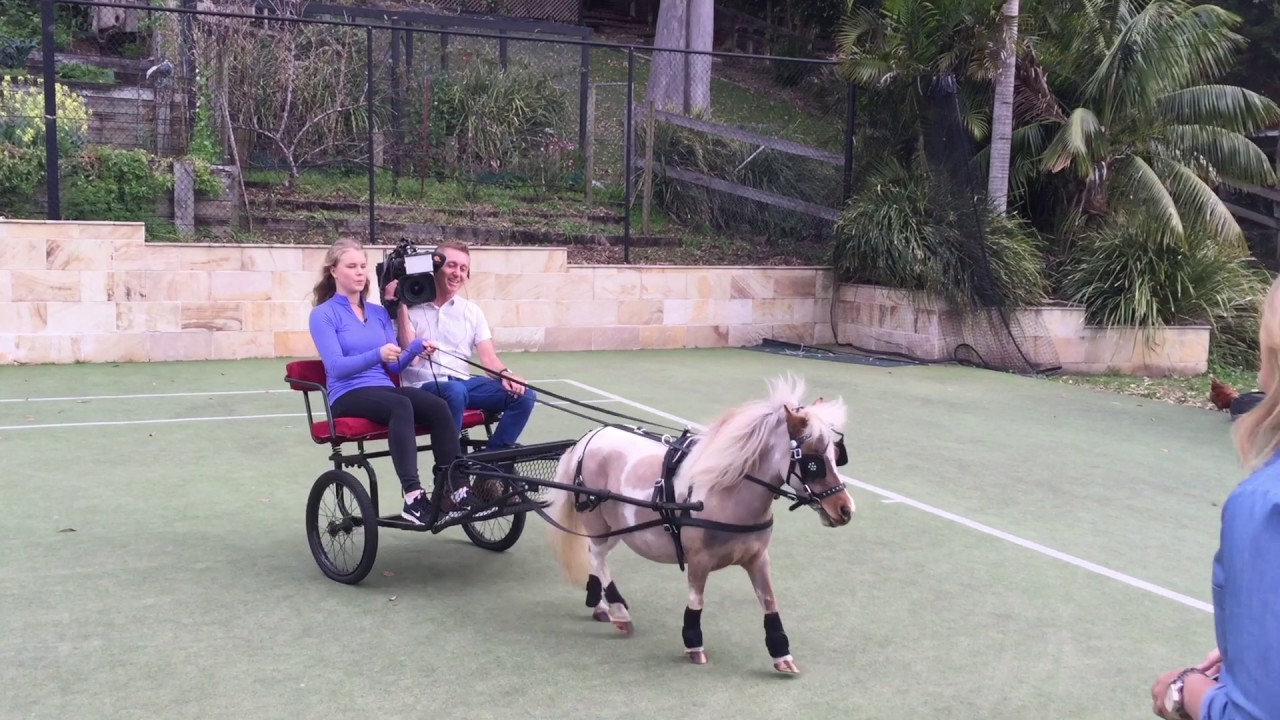 Crunch behind the scenes on Sunrise - YouTube