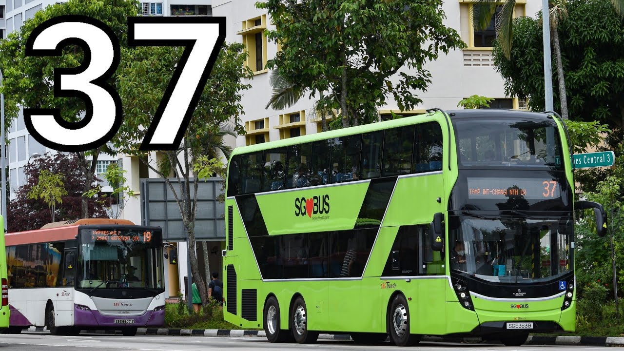 SG6362D - SBS Transit Bus Service 37 [Alexander Dennis Enviro500 (3 ...