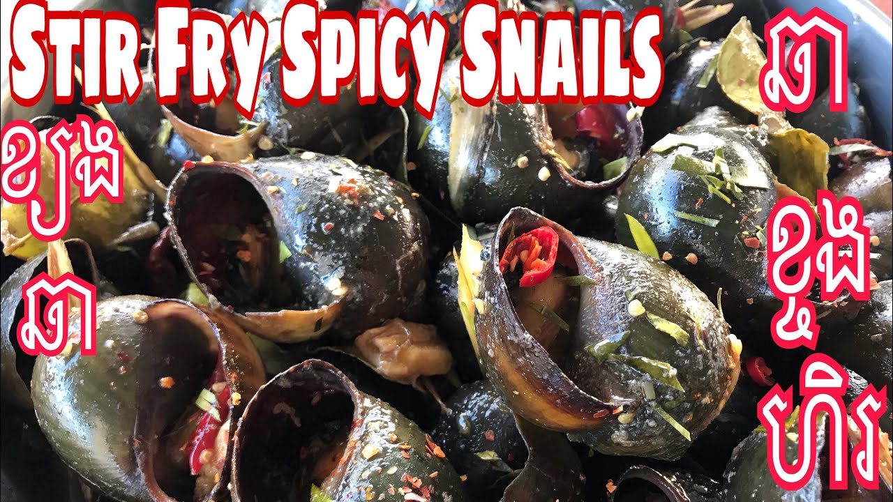 ឆាខ្ចងហិរ~~ ខ្យងឆា Stir Fry Spicy Snails (cooking outside ) - YouTube