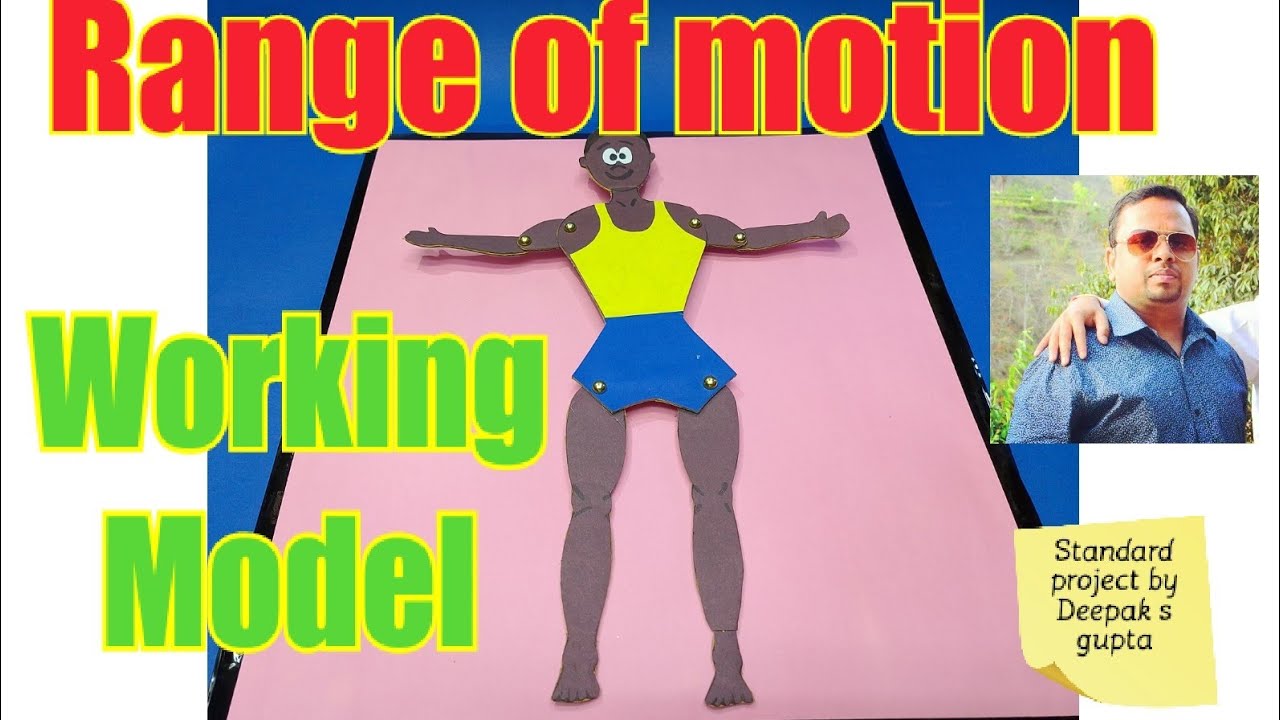 range of motion working model #rangeofmotion #schoolproject #motion # ...