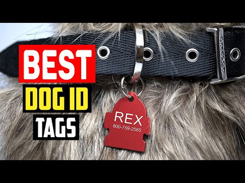 ✅ Top 5 Best Dog ID Tags in 2025