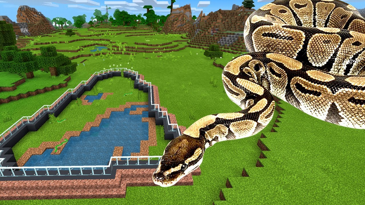 MCPE: How To Make An Anaconda Farm - YouTube