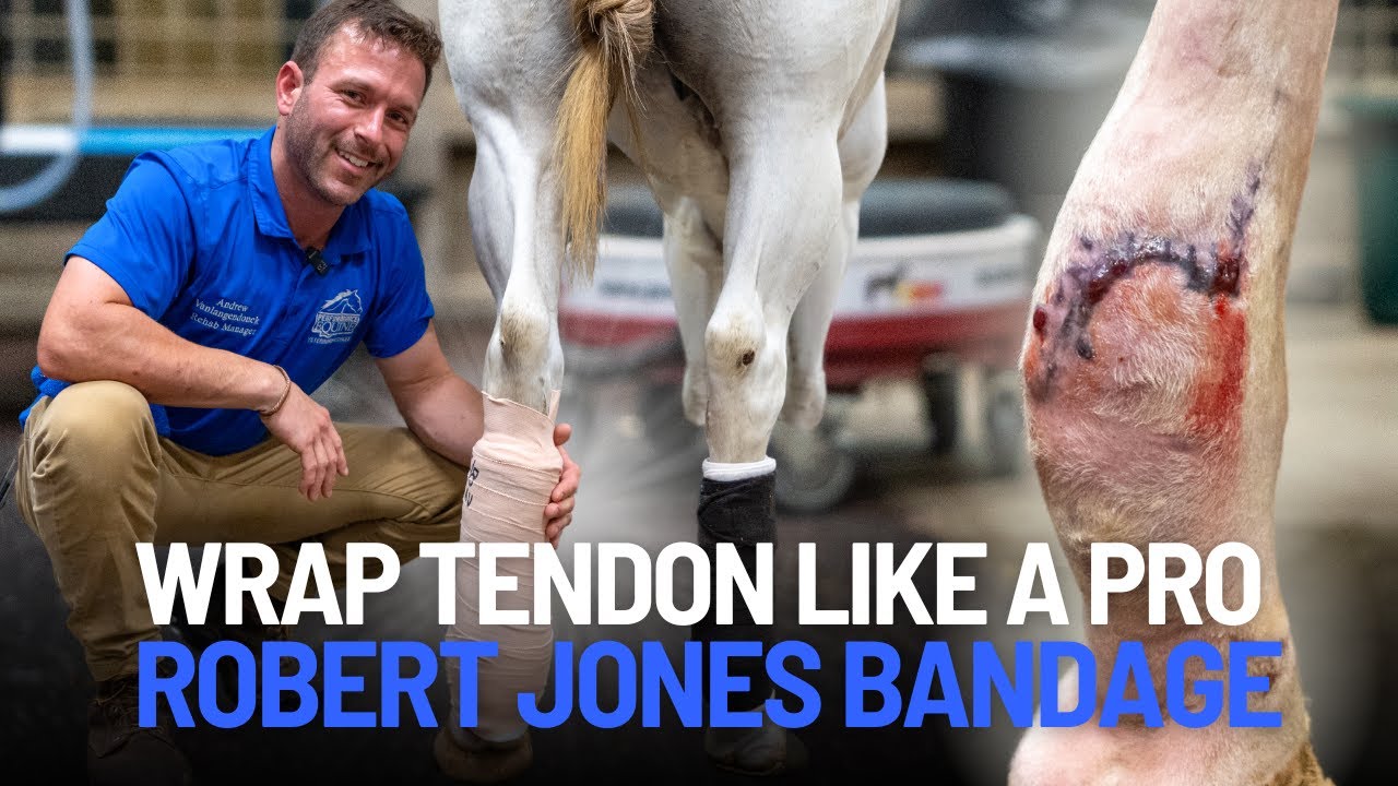 How to Apply a Modified Robert Jones Bandage on a Horse (Step-by-Step ...