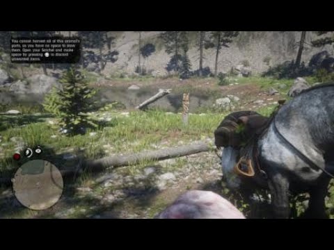 Red Dead Redemption 2 Bear Attack FPS - YouTube