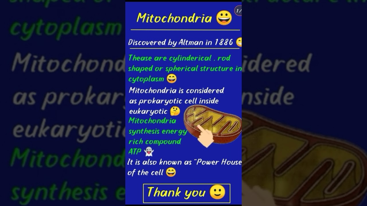 Mitochondria Structure And Function Shorts Science Fact Biology
