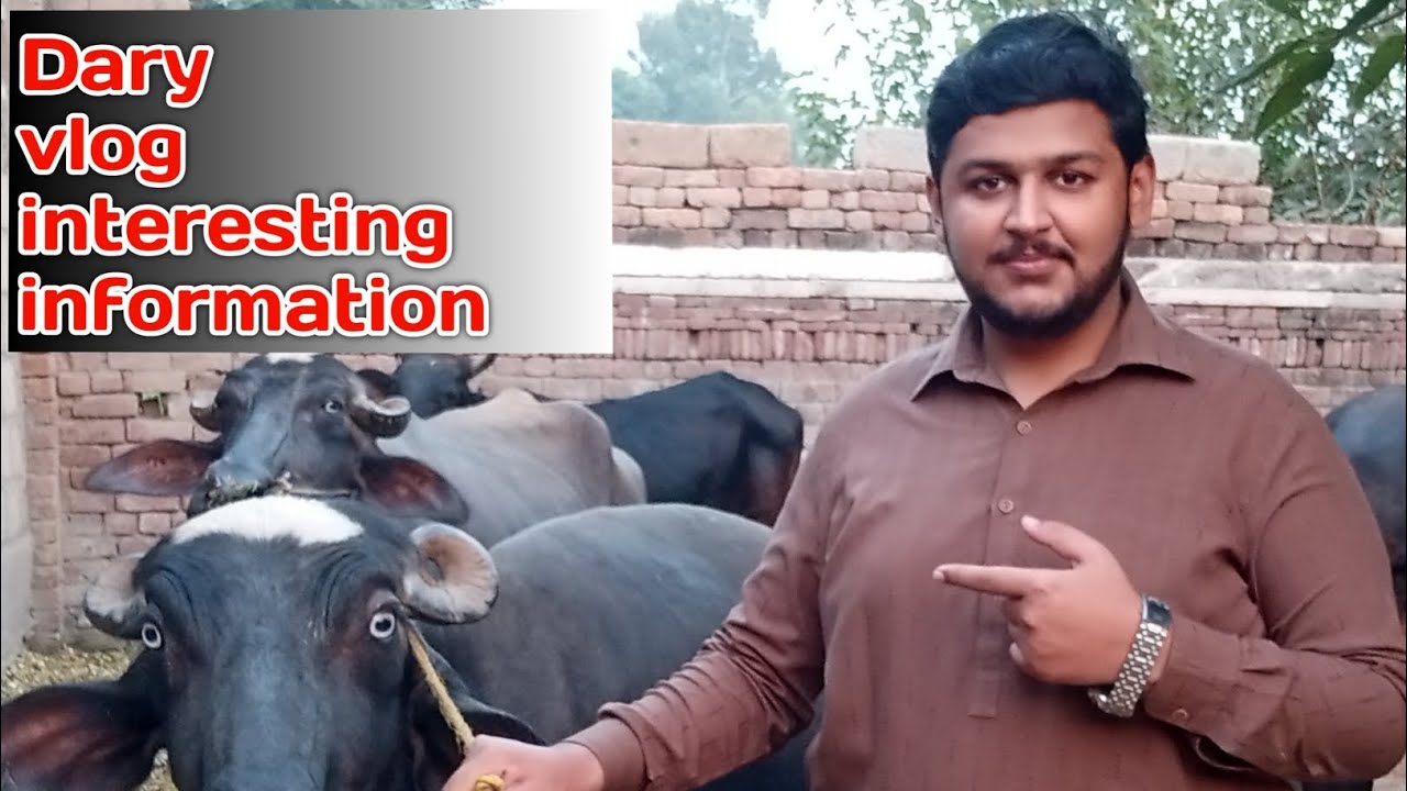 Dary vlog interesting information aj hum shahnyal ki dary gay - YouTube