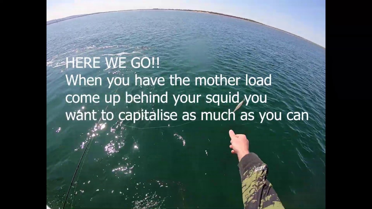 Crazy squid, Flathead and Gummy Shark fishing at Port Welshpool - YouTube