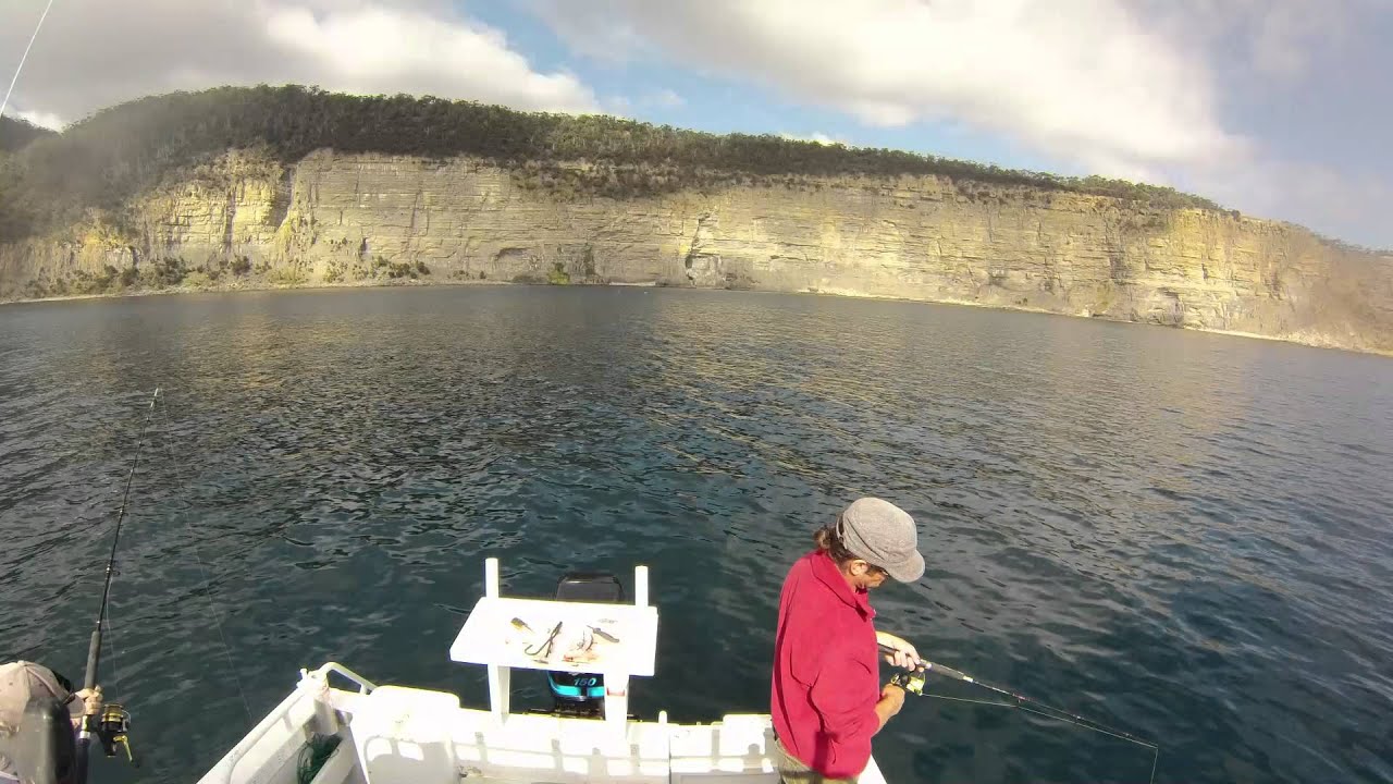 Maria Island Fish April 2014 - YouTube