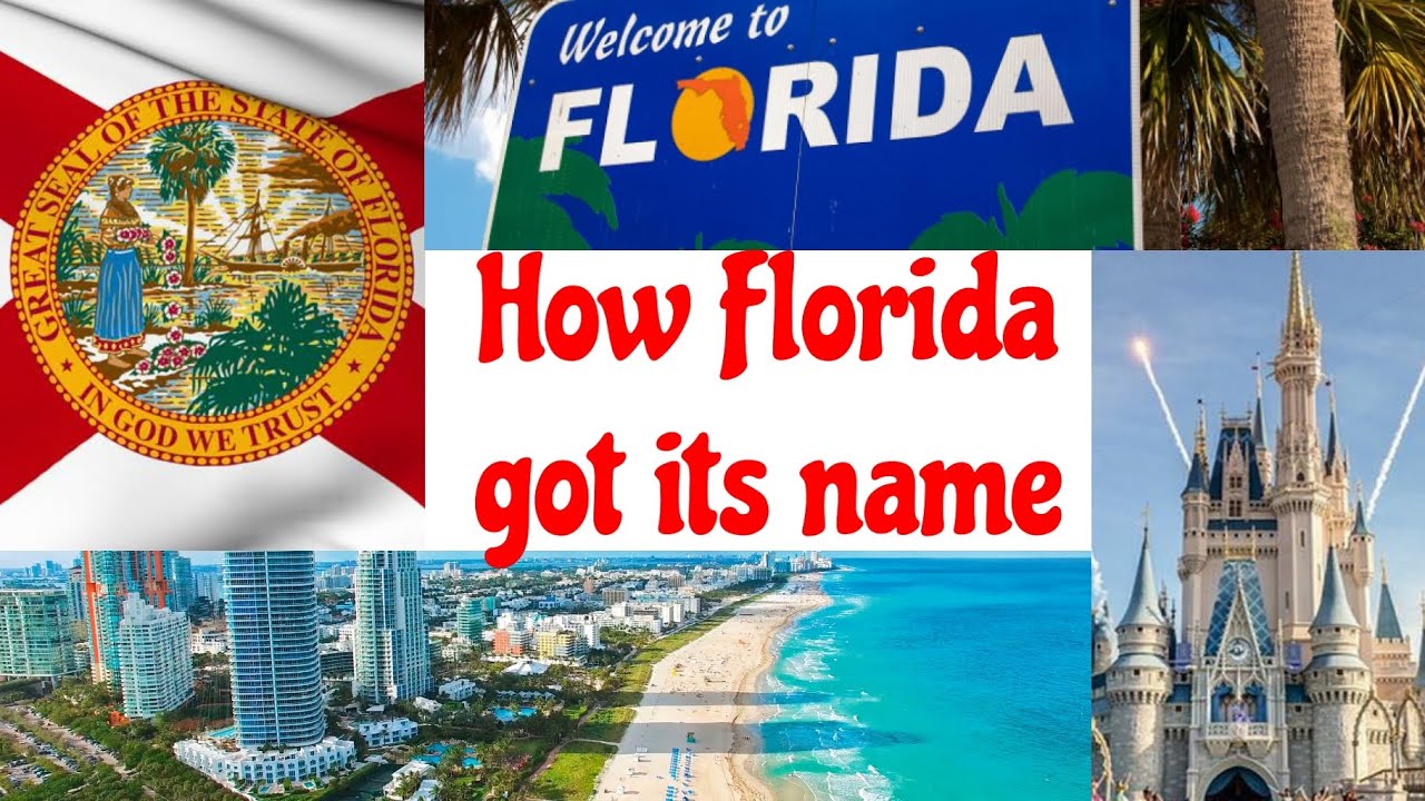 History of Florida State Name and How it got its state name Florida ...