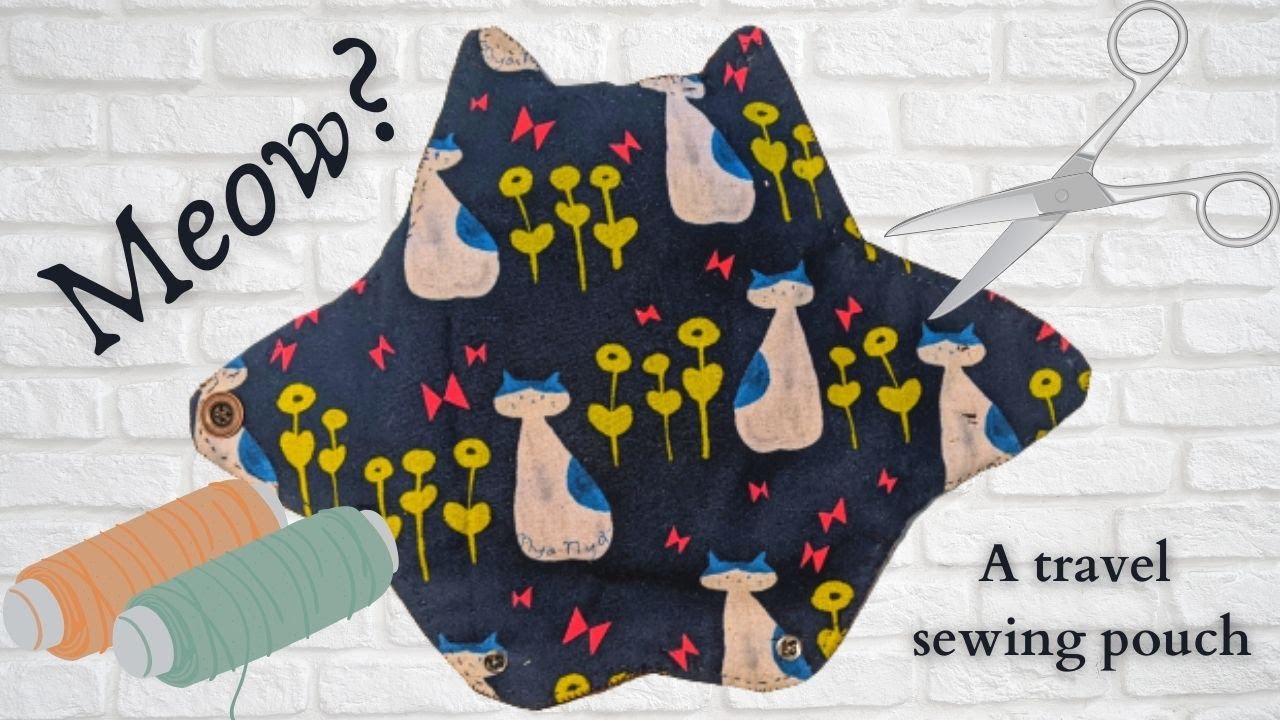 I Made a Kitty Cat Sewing Pouch to Make Me More Organized in 2022 - YouTube