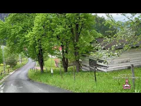Çayıriçi Köyü (Anabedama), Tonya Tanıtım Videoları 12. Bölüm [4K&HDR], Trabzon