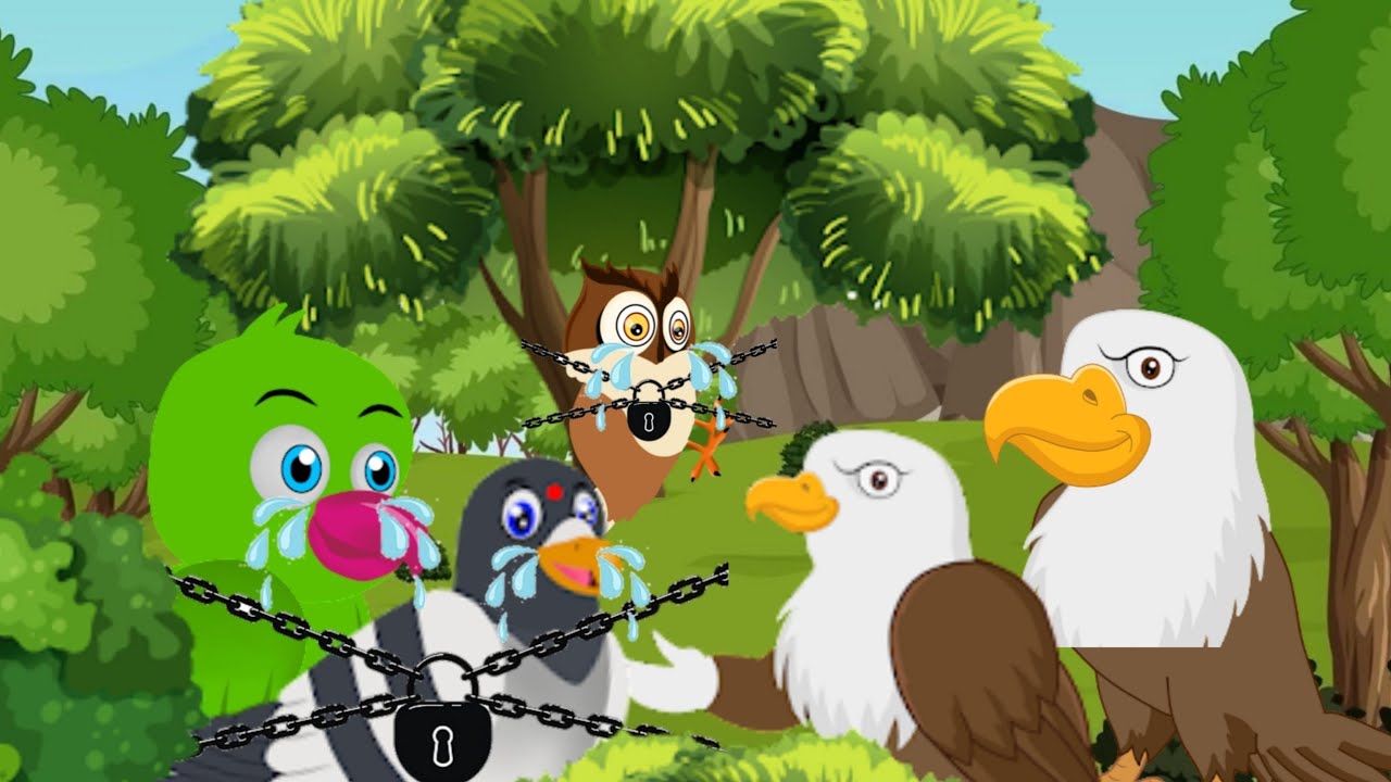 tuni chidiya cartoon new|tuni chidiya qeed mea|chidiya aur kalu kauwa ...