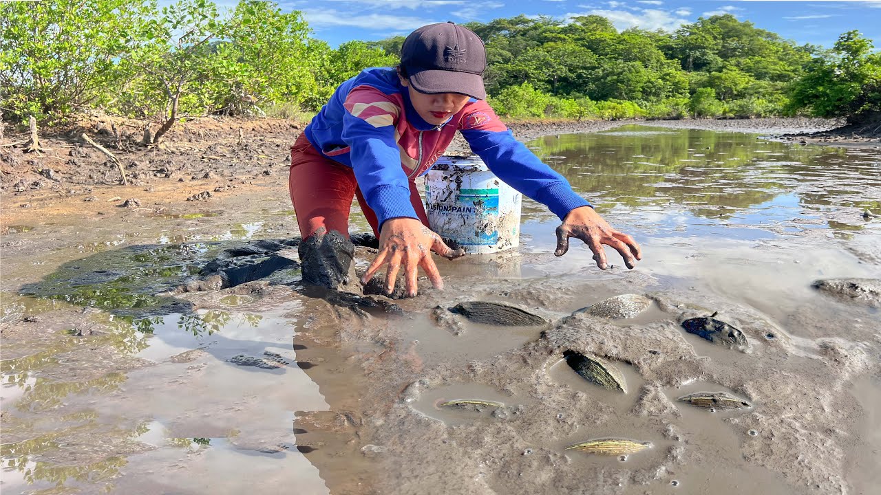 Collecting Sea Clams at Swamp after Water Low Tide - YouTube