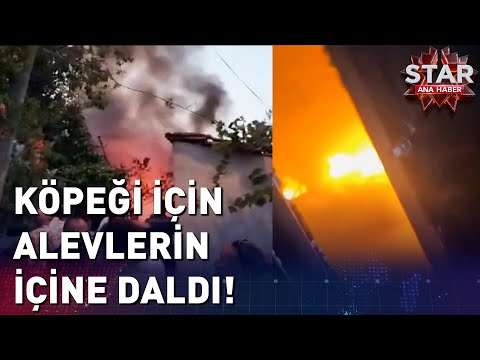 Köpeğini Kurtarmak İçin Canını Hiçe Sayarak Alevlerin İçine Daldı