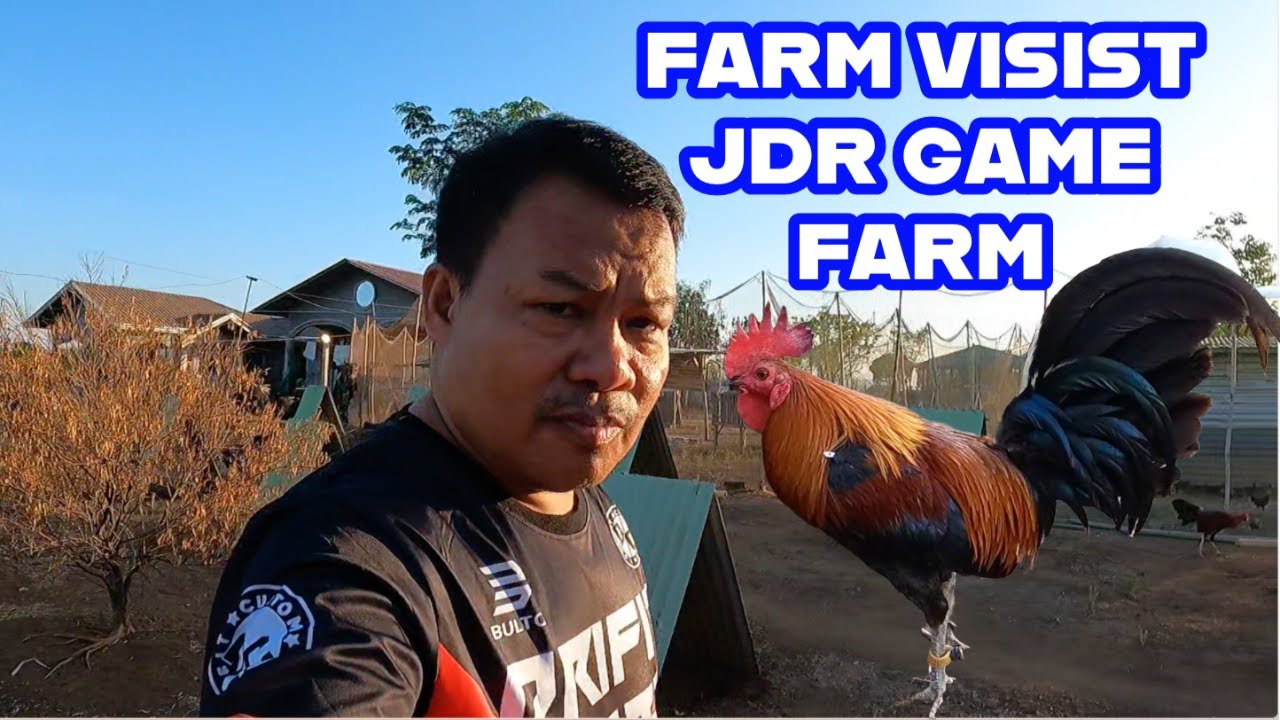 JDR FARMVISIT ANG GAGANDA NG MGA MANOK - YouTube