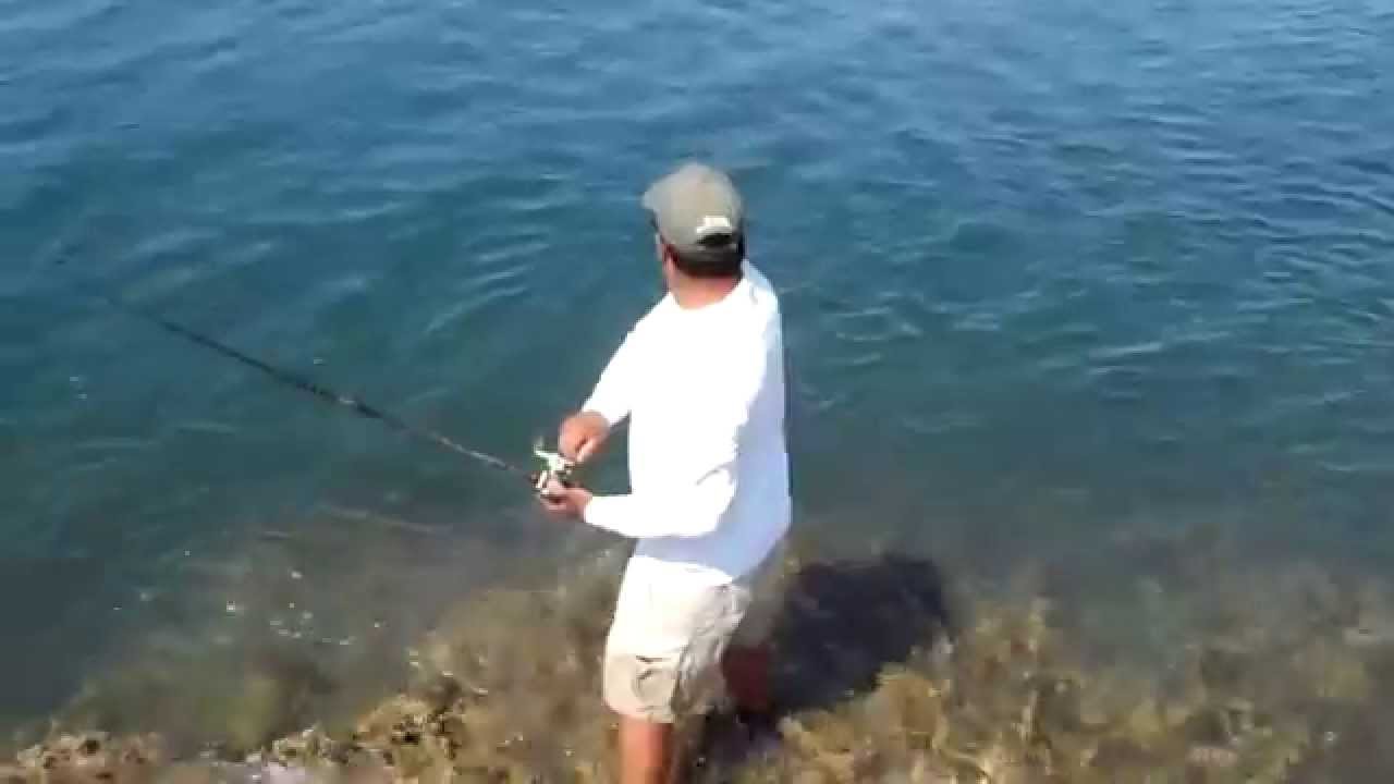 pesca de macarela - YouTube