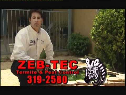 ZebTec Termites RevEmail_Squeeze001.wmv - YouTube