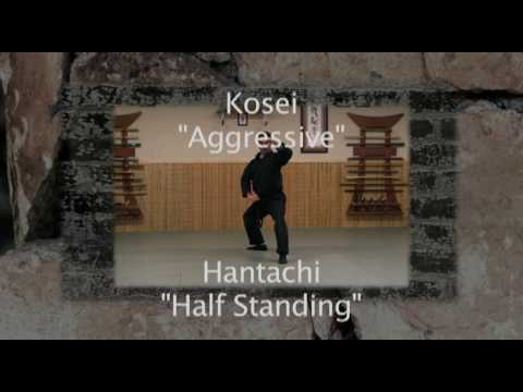 Ninjutsu Training - KAMAE DEMONSTRATION - 9TH KYU - Bujinkan Instruction Online
