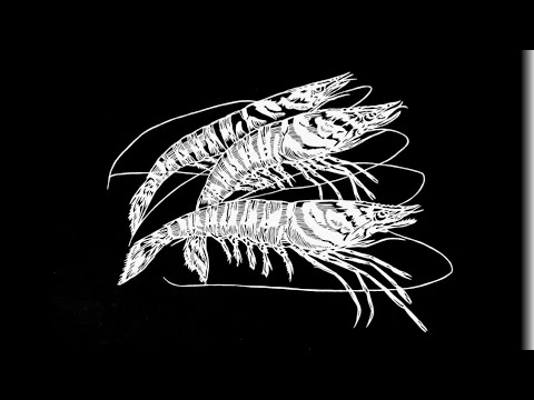 Diy / Easy & simple way Paper cutting Prawn / Art / Tutorial / Craft ...