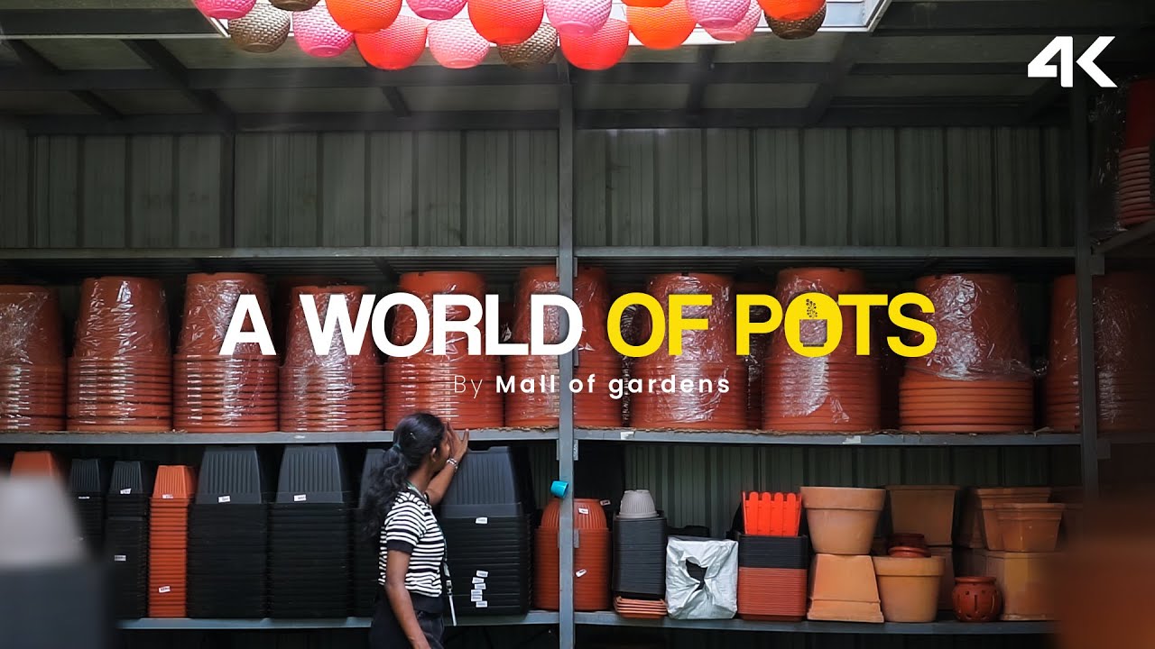 A WORLD OF POTS | KERALA’S LARGEST POT COLLECTION! | MALL OF GARDENS ...