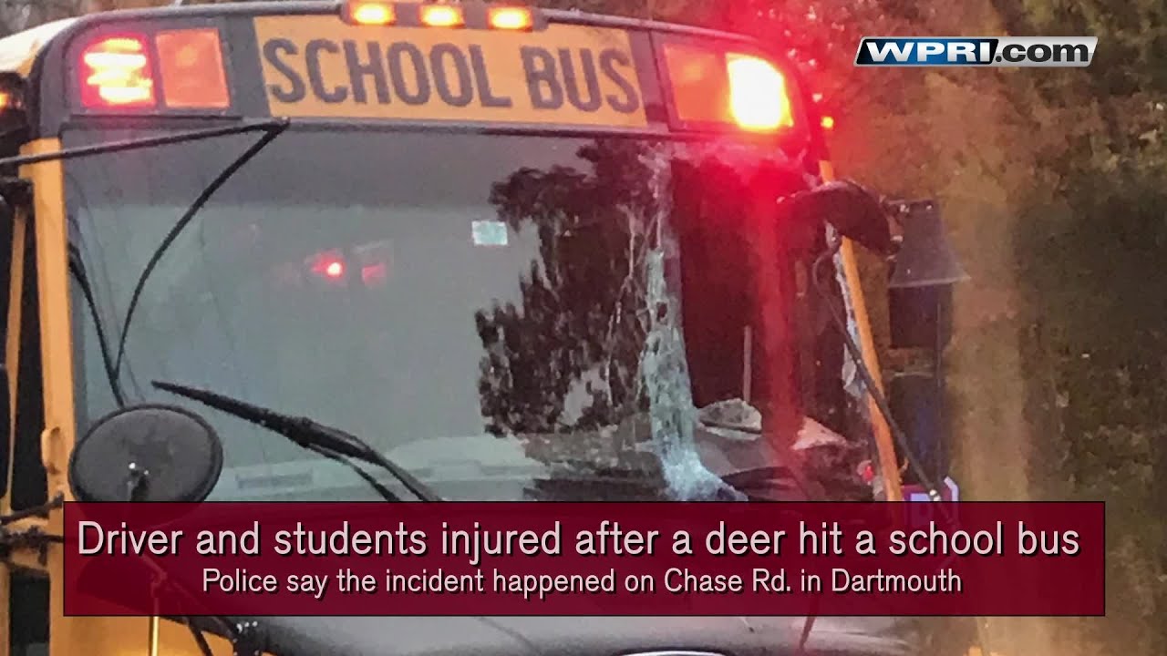 VIDEO NOW: Driver, students injured after a deer hits a school bus ...