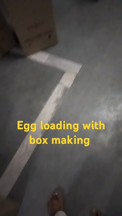 अंडा लोडिंग || Egg loading in box - YouTube