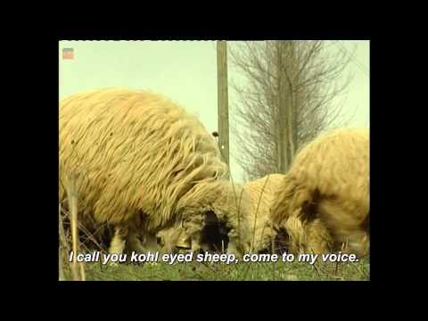 Shepherd's Pipe - Kaval Ellerin Türküsü 1/2