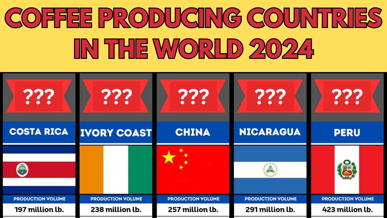 Insights & Trends: Coffee Producing Countries In The World 2024 (Coffee Producing Countries ...