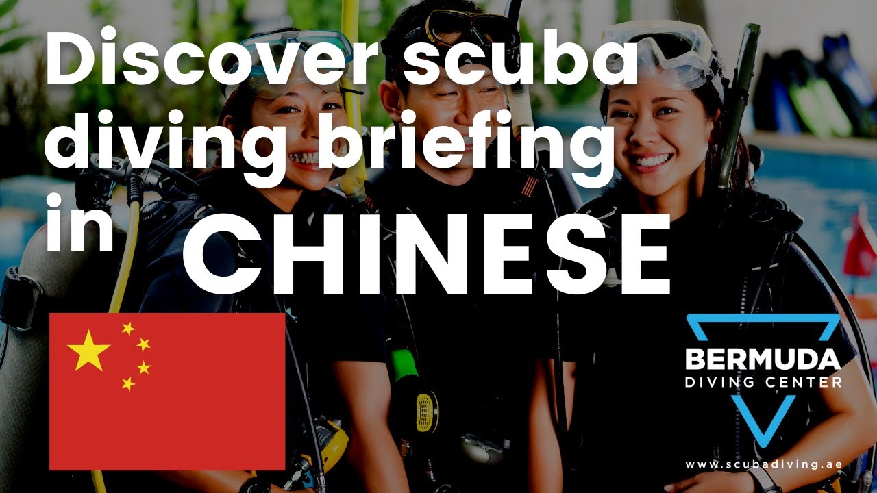 Chinese discover scuba diving training (DSD) try scuba diving | BERMUDA ...