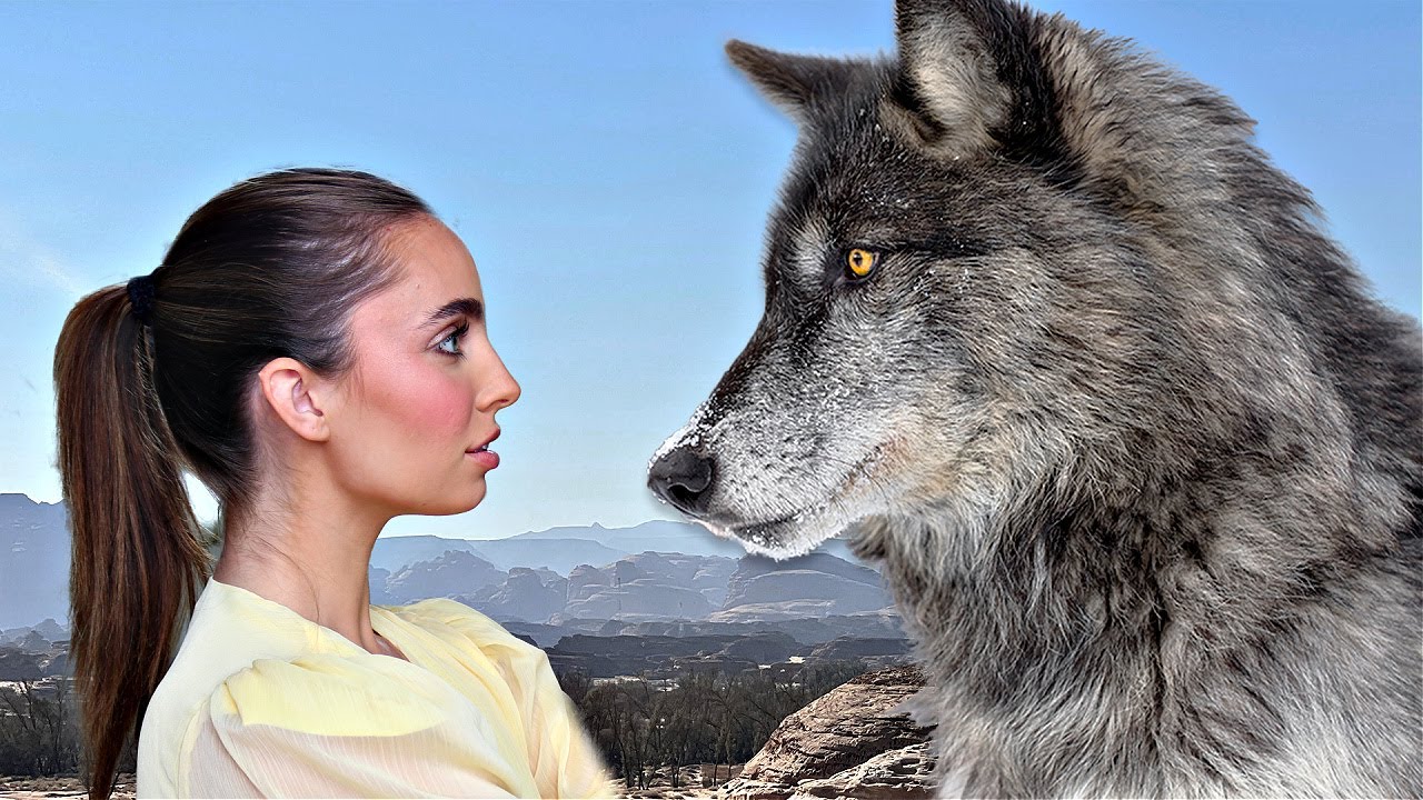 I joined a real Wolf Pack - YouTube