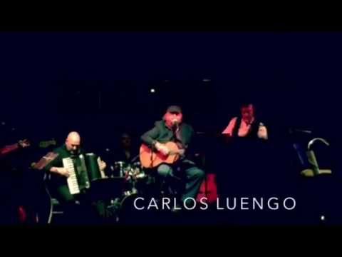 Carlos Luengo en concierto 2015. Yo te quiero tanto. - YouTube