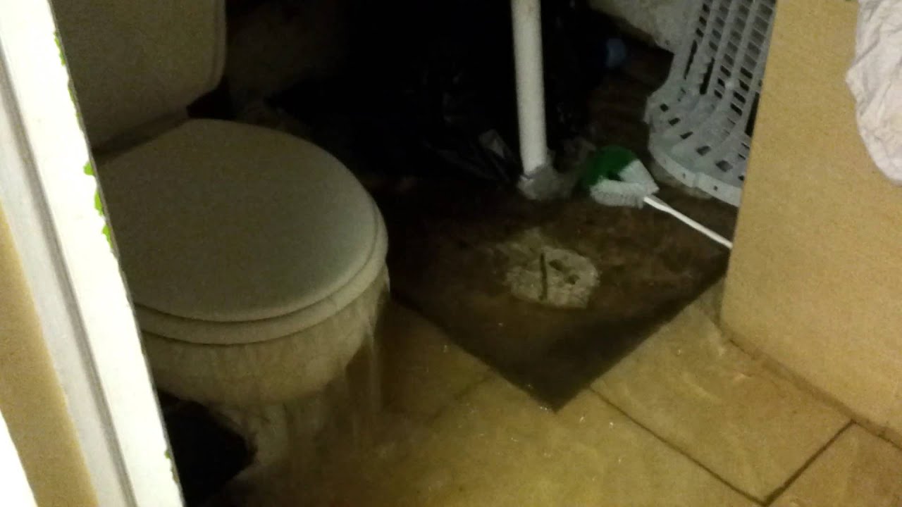 Sandy toilet backup - YouTube