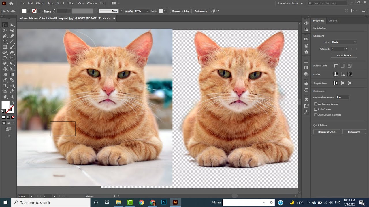 Professional background remove of Beautiful Cat | Learn | Solution hai ...