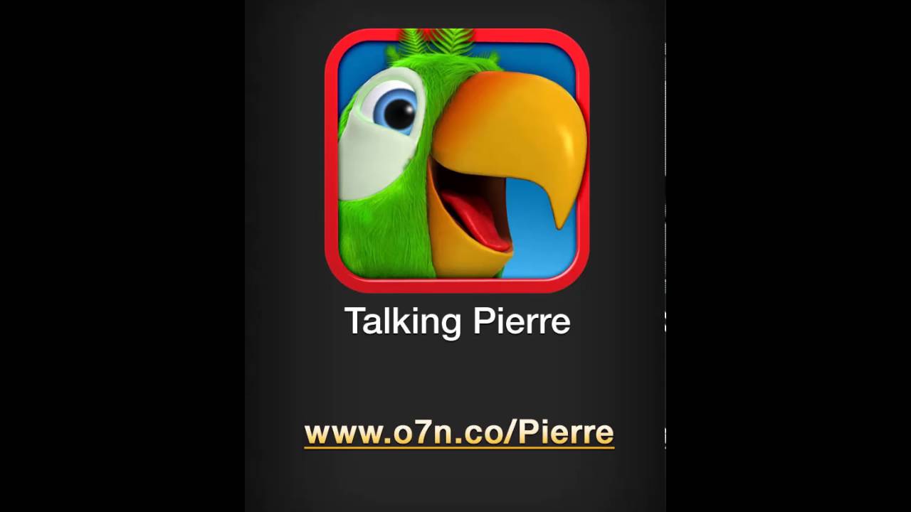 Talking Pierre the Parrot - YouTube