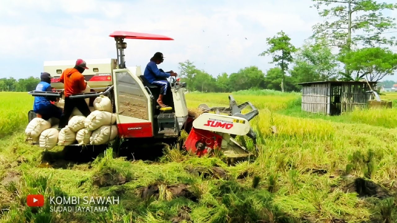 MESIN PANEN PADI COMBINE CROWN SUMO OPERATED BY MAS ANDIKA - YouTube