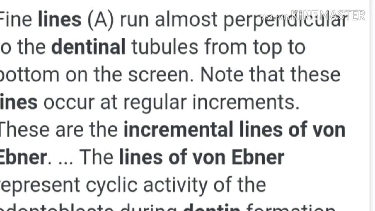 Incremental Lines Of Von Ebner