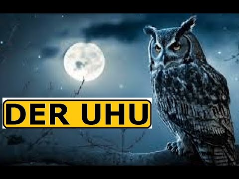 ANDY HARDINGER DER UHU (ICH LEUCHTE MIT MEINER LATERNE) - YouTube