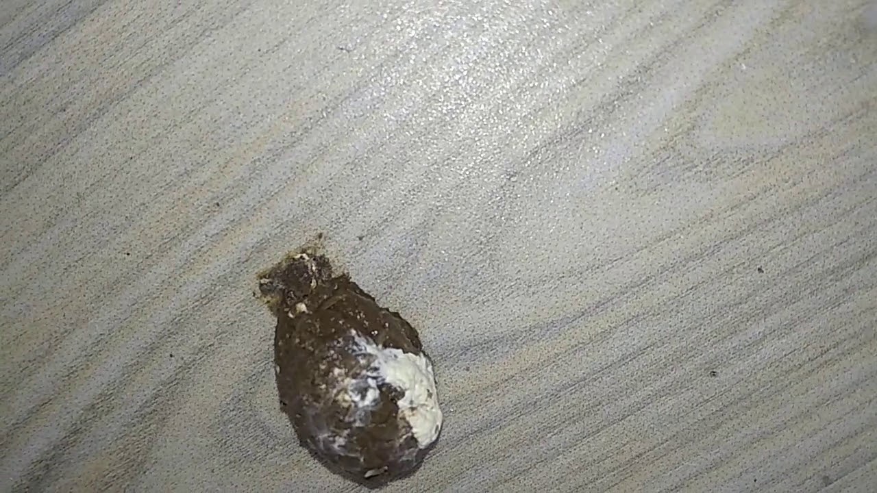 Vidio tembelek lancung - YouTube