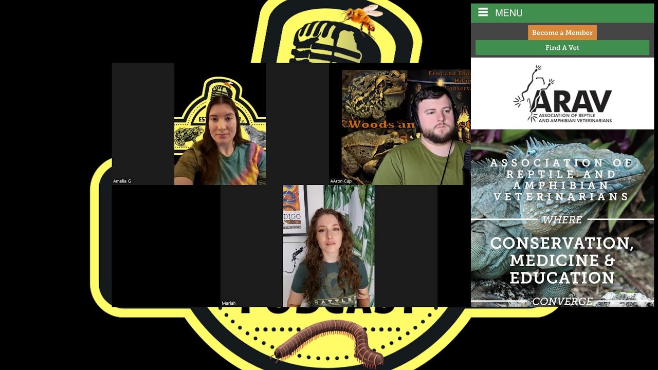 What Does It Mean To Be An ARAV Vet? - YouTube