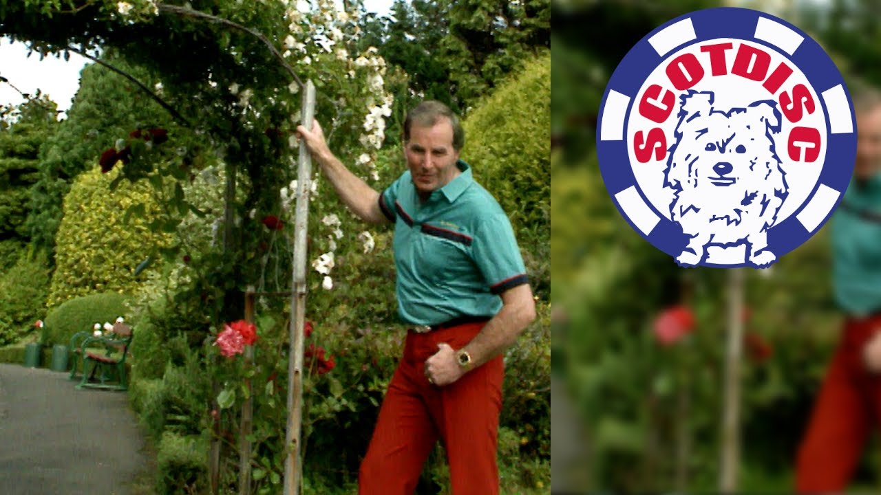 Eighteen Yellow Roses, Room Full Of Roses, Ramblin' Rose, Red Roses For ...