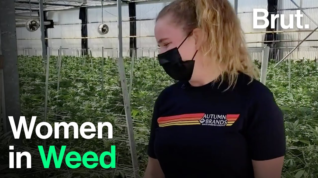 Women in Weed: Meet One of the First Women Cannabis Leaders in ...