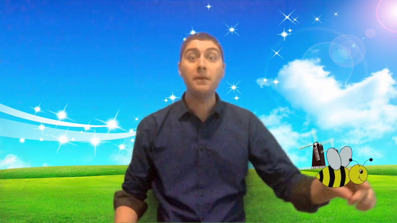 Bee Pitch Exploration - YouTube