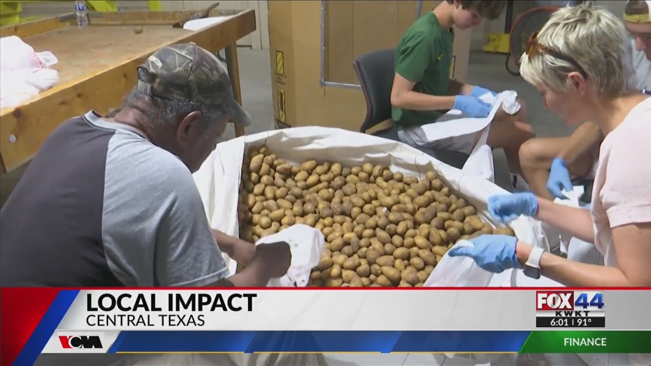 Government Impact Local Impact - YouTube