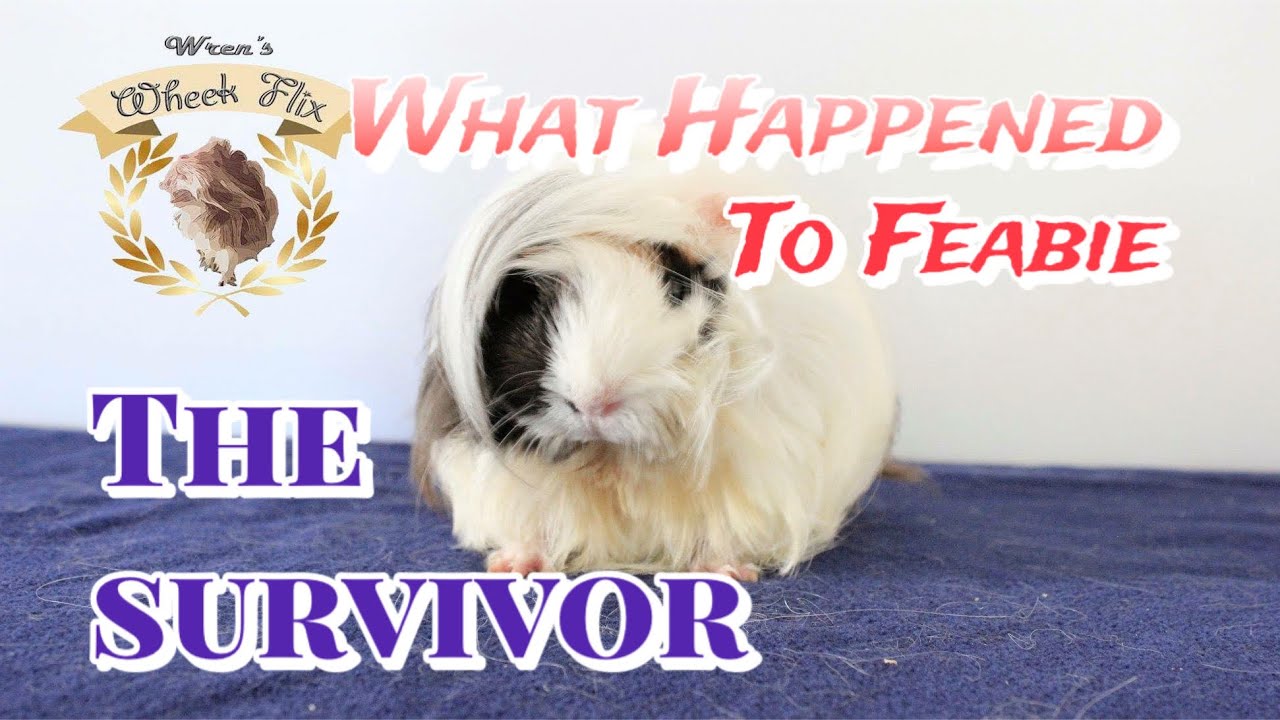 What Happened To Feabie (the survivor) - YouTube