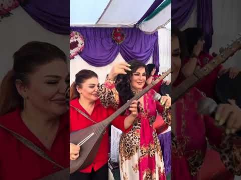Pakize Xanim Musiqicileri Hokməlidə0504306444dəvət üçün əlaqə saxlaya bilərsizToy Xina Nişan Ad günü
