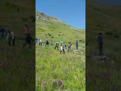 Orhan emen videoları