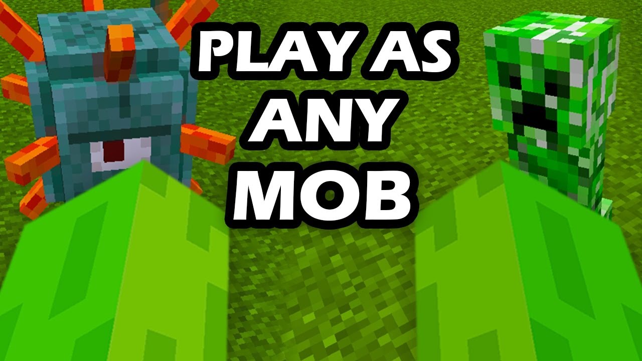 How to be any mob in Minecraft no mods - YouTube